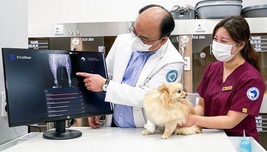 SKT, 사회적 가치 담은 AI 서비스로 CES 혁신상 수상